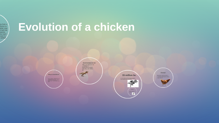 Evolution of a chicken by janiyah stovall on Prezi