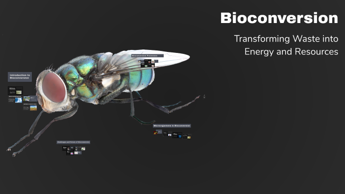 Bioconversion by sediqa didari on Prezi