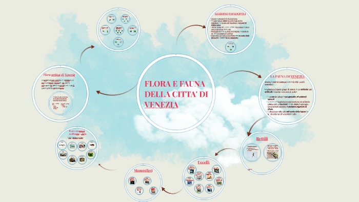 FLORA E FAUNA DELLA CITTA' DI VENEZIA by Anna Barbini on Prezi