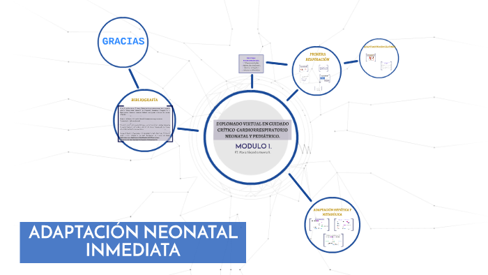 ADAPTACIÓN NEONATAL by Alejandra Guerra Ruiz on Prezi