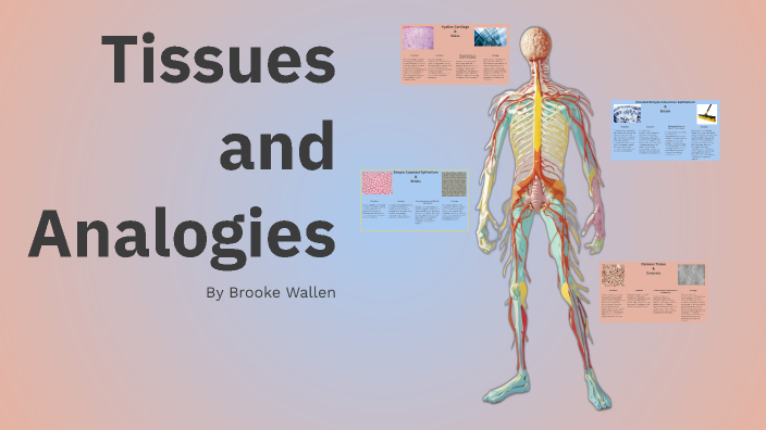 Tissues and Analogies by Brooke Wallen on Prezi