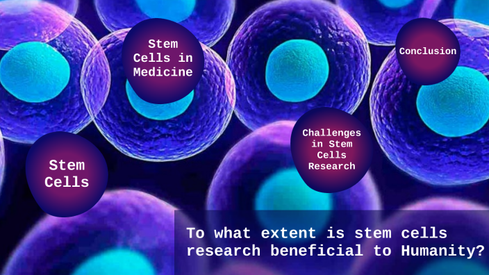 Personal Project Presentation by Luz Almada on Prezi