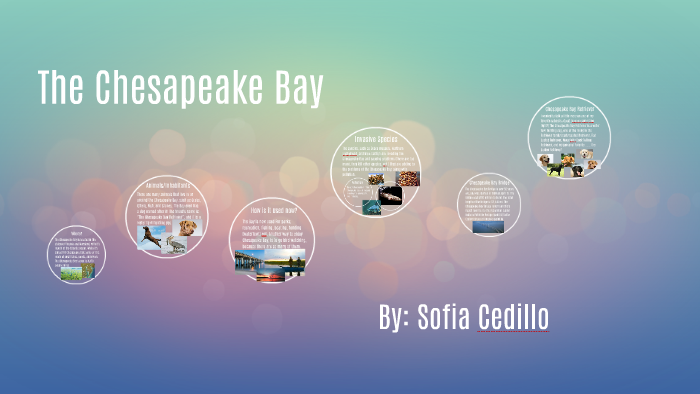 Chesepeake Bay by Sofia Cedillo on Prezi