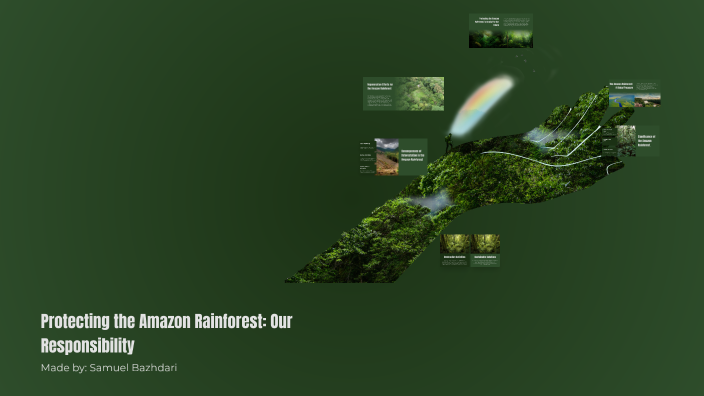 Protecting the Amazon Rainforest: Our Responsibility by samuel bazhdari ...