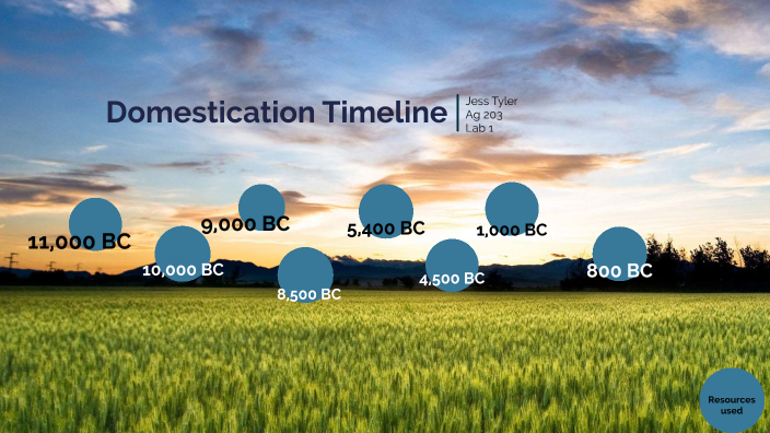 Domestication timeline by Jessica Tyler on Prezi