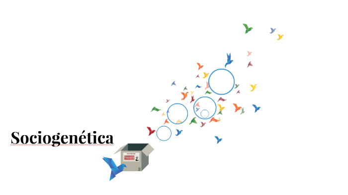 Teoría Sociogenética by Jeimy Vargas on Prezi