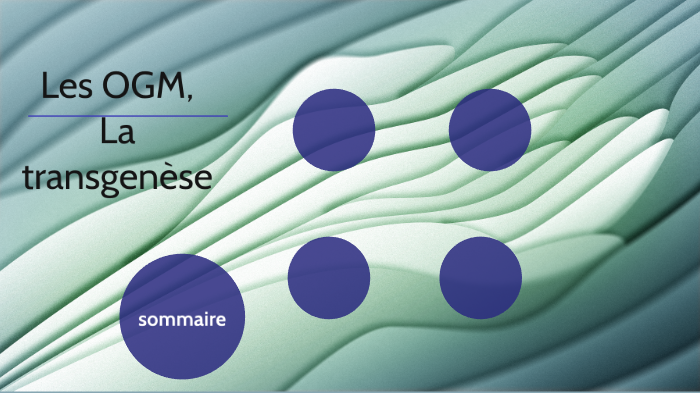 svt diapo by Emma Laud on Prezi