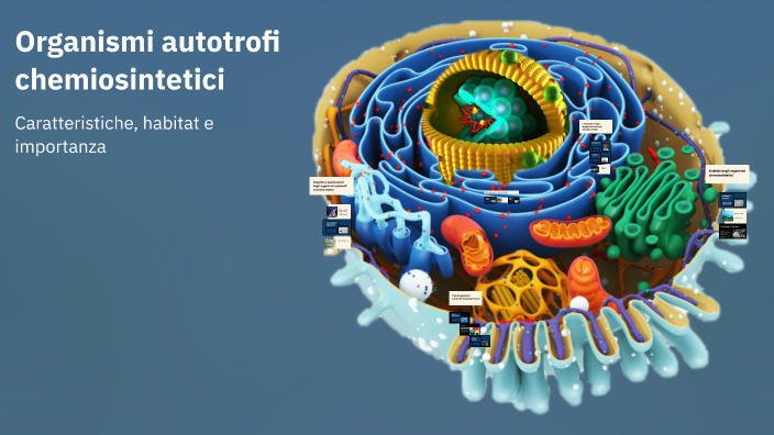 Organismi autotrofi chemiosintetici by Martina Valentino on Prezi