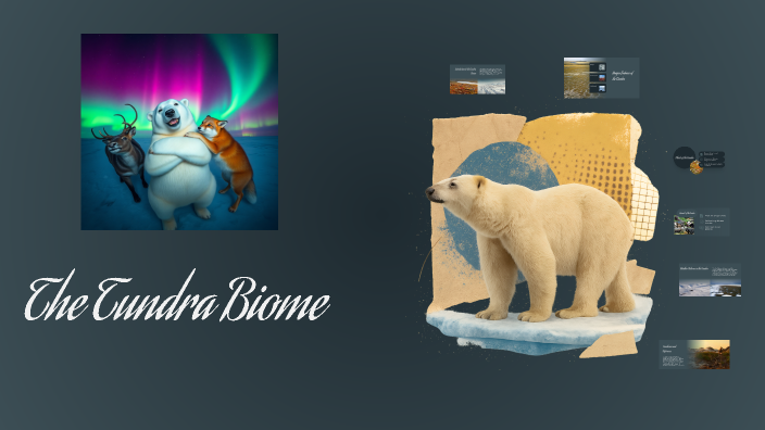 Exploring the Tundra Biome by Avery Lahue on Prezi