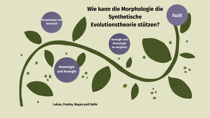 Synthetische Evolutionstheorie by Prezi Präsentationen on Prezi