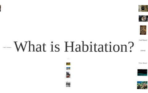 What is Habitation by Max Kaiser on Prezi