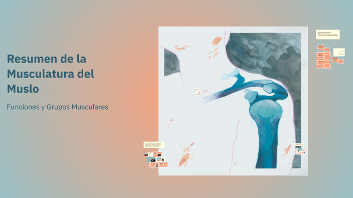 Resumen de la Musculatura del Muslo by Mary Sevilla on Prezi