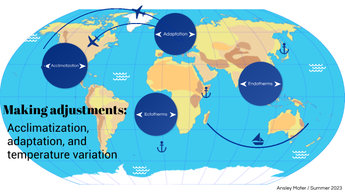Making adjustments: Acclimatization, adaptation, and temperature ...