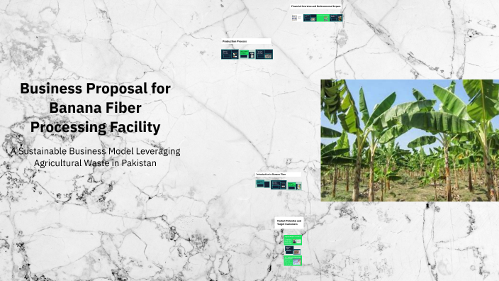 Business Proposal for Banana Fiber Processing Facility by Riva Khan on ...