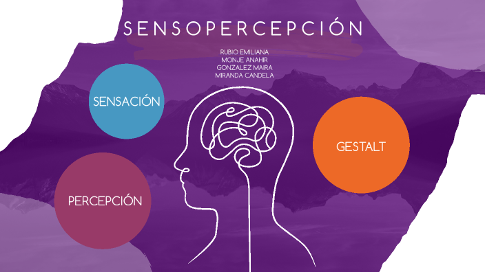 SENSOPERCEPCIÓN by Emi Rubio on Prezi