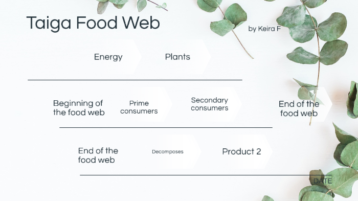 Taiga Food Web by Keira Follmer on Prezi