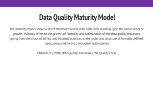 Data Quality Maturity Model by Meeghan Riemer on Prezi Design