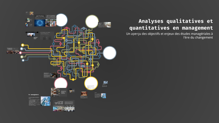 Analyses qualitatives et quantitatives en management by methlouthi ...