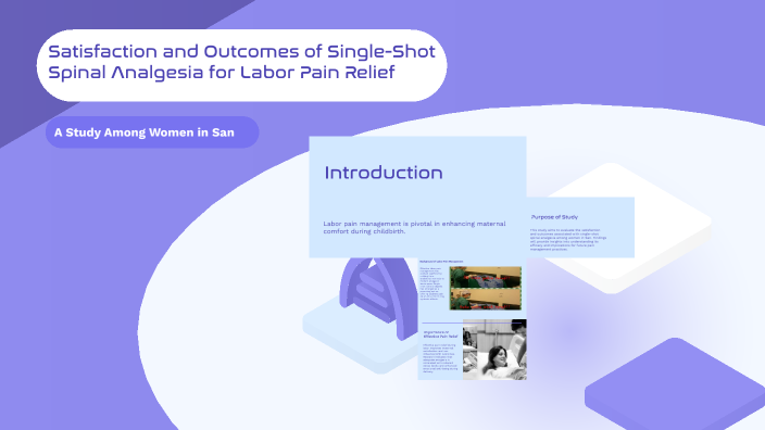 Satisfaction and Outcomes of Single-Shot Spinal Analgesia for Labor ...