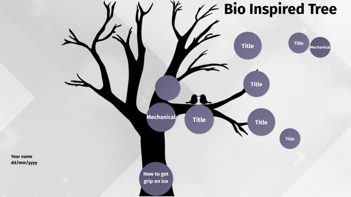 Bio Inspired Design Nature examples by Casper Donkervoort on Prezi