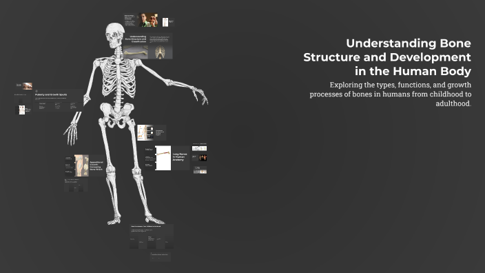 Understanding Bone Structure and Development in the Human Body by Moyo ...
