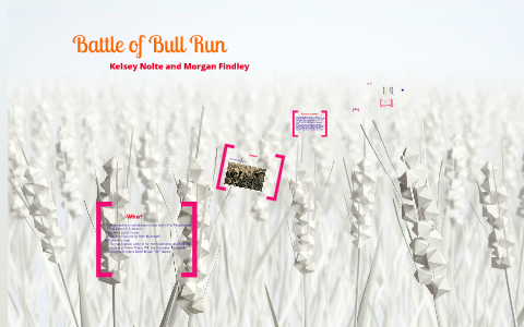 Battle of Bull Run by morgan findley