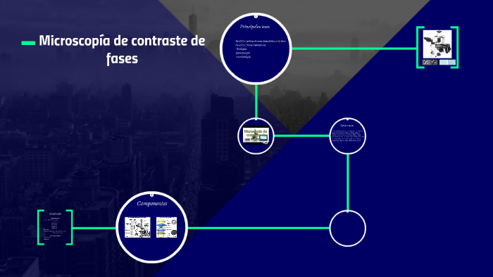 Microscopía de contraste de fases by Ana Gozanlez on Prezi