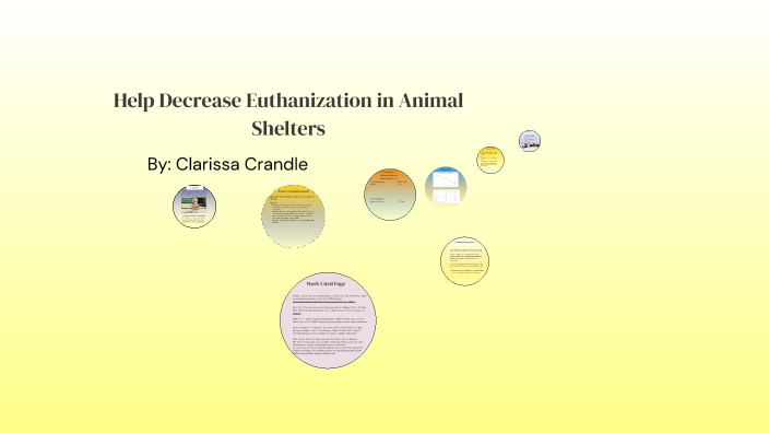 Euthanization in Animal Shelters by Clarissa Crandle on Prezi