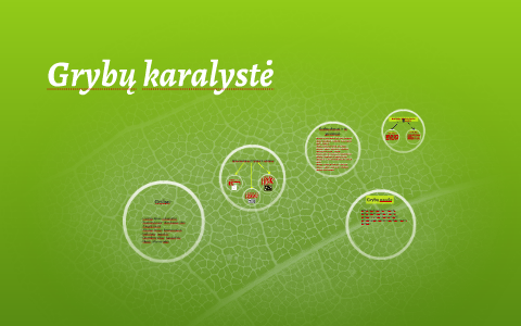 Grybų karalystė by Diana Kamarauskaitė on Prezi