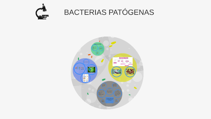BACTERIAS PATOGENAS by on Prezi