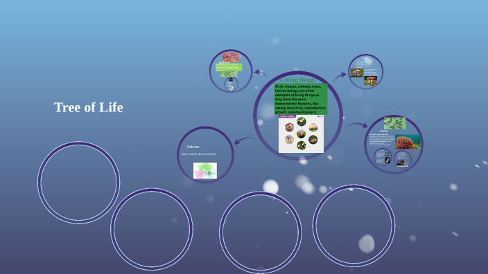 Tree of Life - Mason Fennell by Mason Nicholl on Prezi