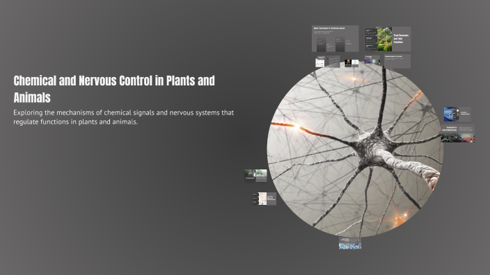 Chemical and Nervous Control in Plants and Animals by Sharae Ann ...