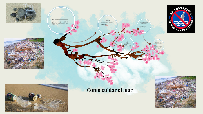 Como cuidar el mar by yudy tattiana ibañez lopez on Prezi