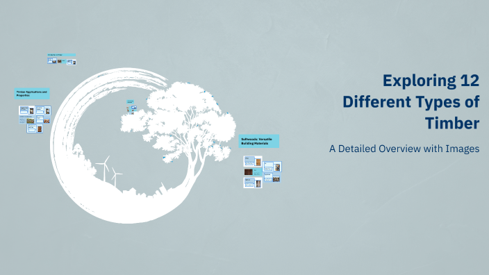 Exploring 12 Different Types of Timber by charlie edkins on Prezi