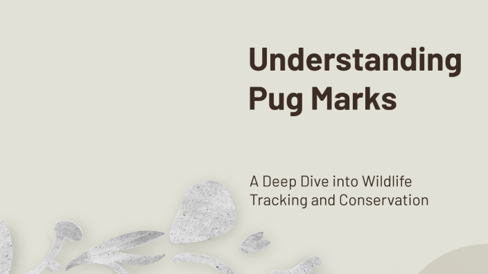 Understanding Pug Marks by Labanyamoy Das on Prezi