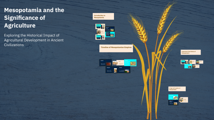 Mesopotamia and the Significance of Agriculture by Jeremiah Vigansky on ...