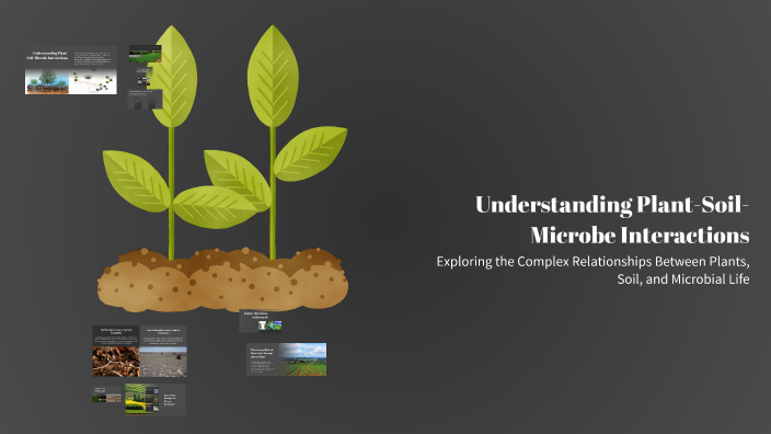 Understanding Plant-Soil-Microbe Interactions by shaharban kp on Prezi