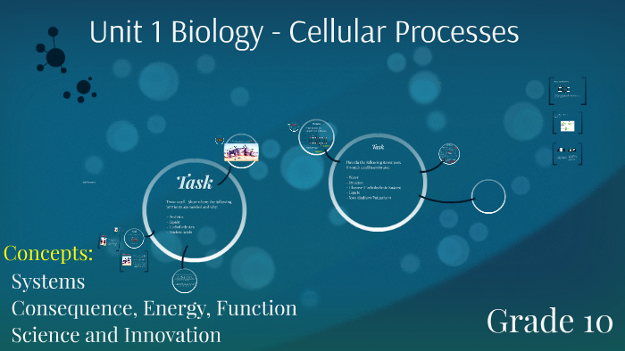 Grade 10: Unit 1 Biology - Cellular Processes by Katrina Brown on Prezi