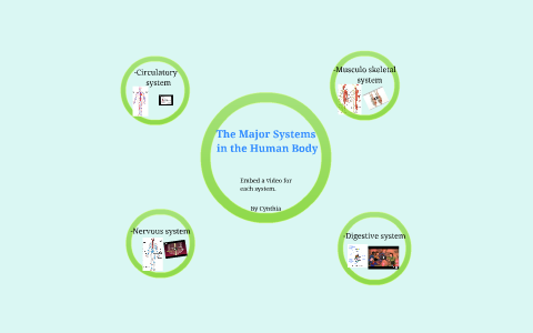 The 4 Major Systems in the Human Body by cynthia zhang on Prezi