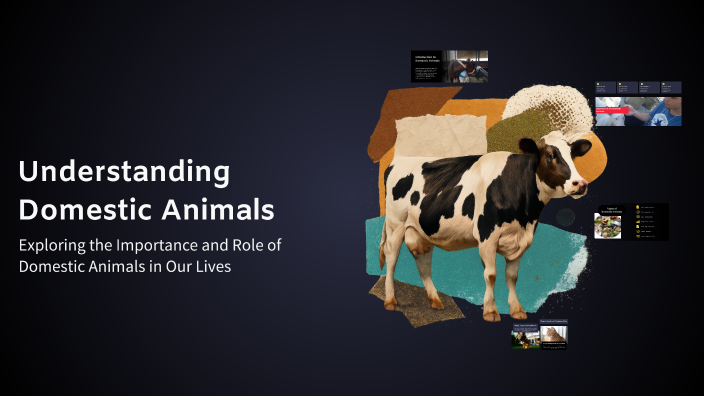 Understanding Domestic Animals by Gulbarchyn Lepesova on Prezi