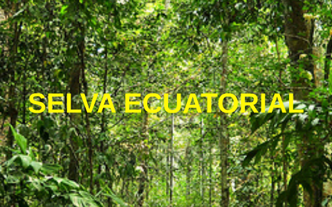 SELVA ECUATORIAL by Alvaro Gutiérrez Torrijos on Prezi