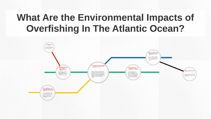 What Are the Environmental Impacts of Overfishing In The Atl by Lance ...