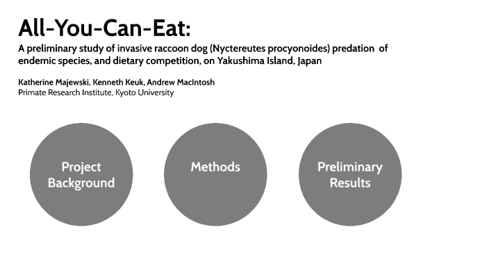 All-You-Can-Eat: A preliminary study of invasive raccoon dog ...