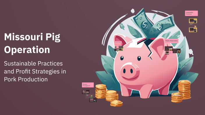 Missouri Pig Operation by Camree Parks on Prezi