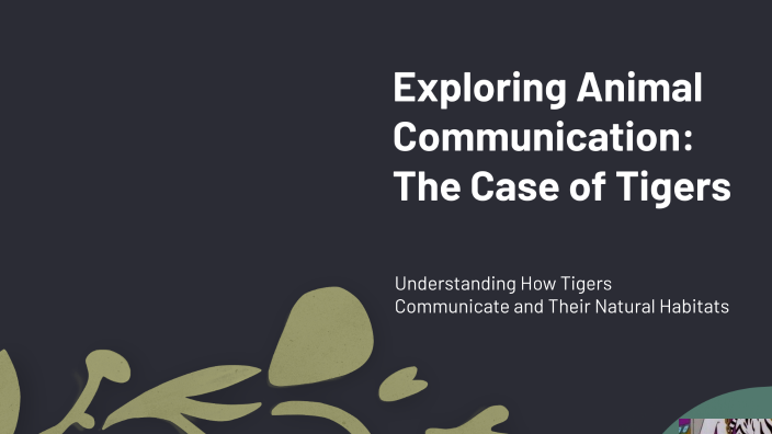 Exploring Animal Communication: The Case of Tigers by Elia Frei on Prezi