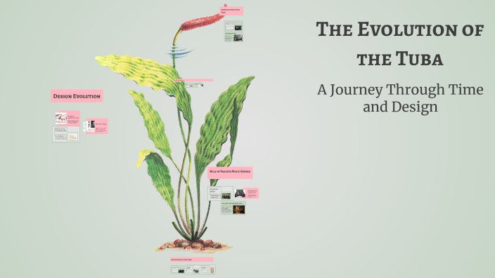 The Evolution of the Tuba by Charles Tucker on Prezi