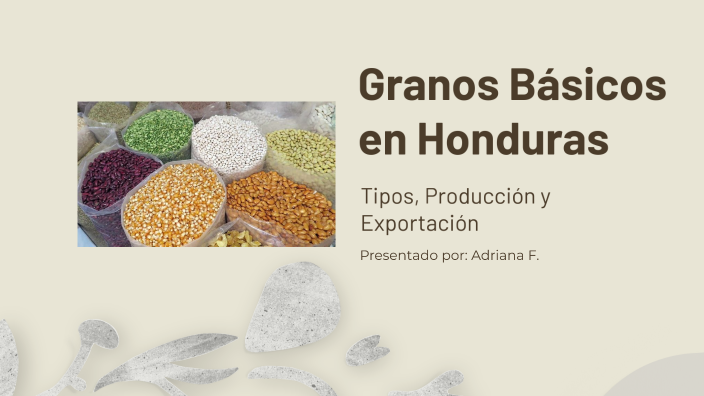 Granos Básicos en Honduras by adriana isabel funez padilla on Prezi