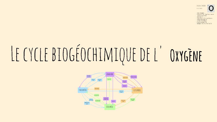 Le cycle biogéochimique de l'oxygène by Jessica Balasuntharam on Prezi