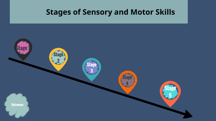 Sensory and Motor Skills Timeline by brooke taylor on Prezi