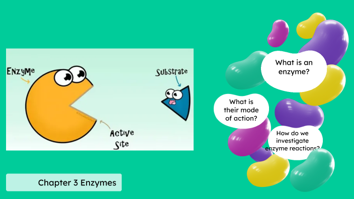 Chapter 3 Enzymes by Lauren Frantz on Prezi